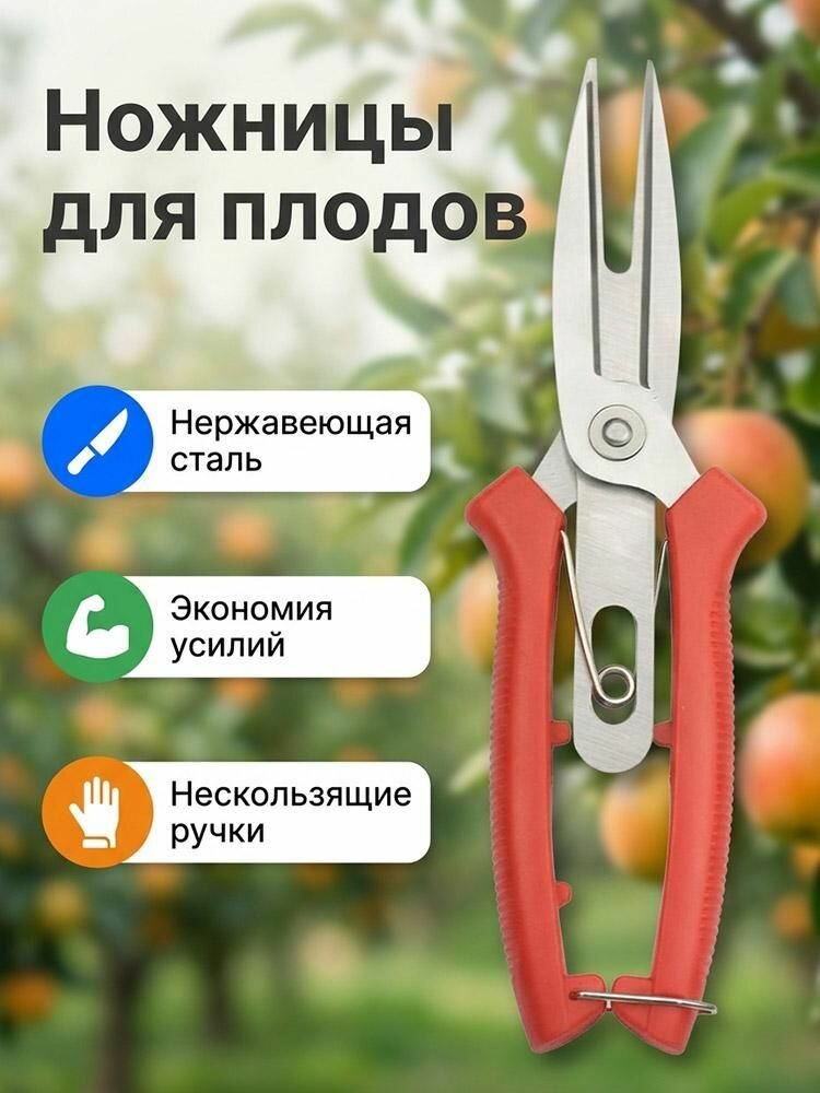 Ножницы для сбора фруктов из нержавеющей стали