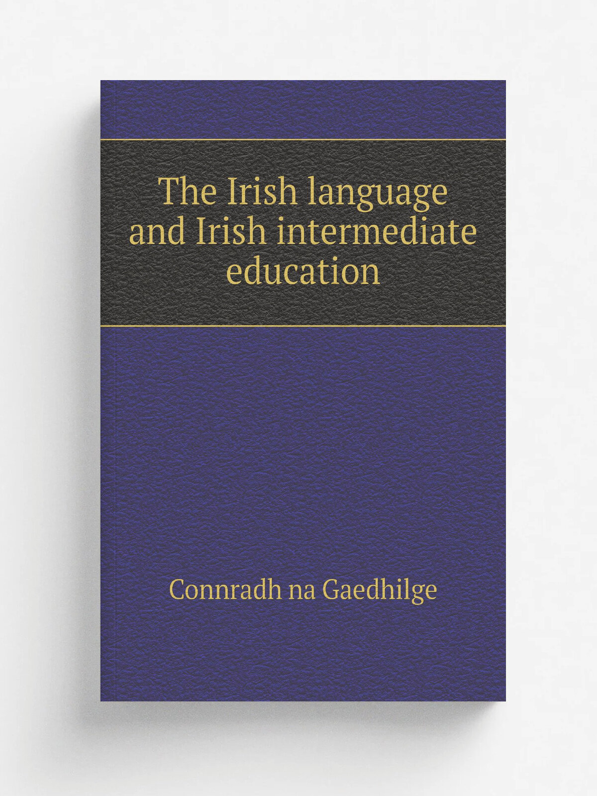 The Irish language and Irish intermediate education