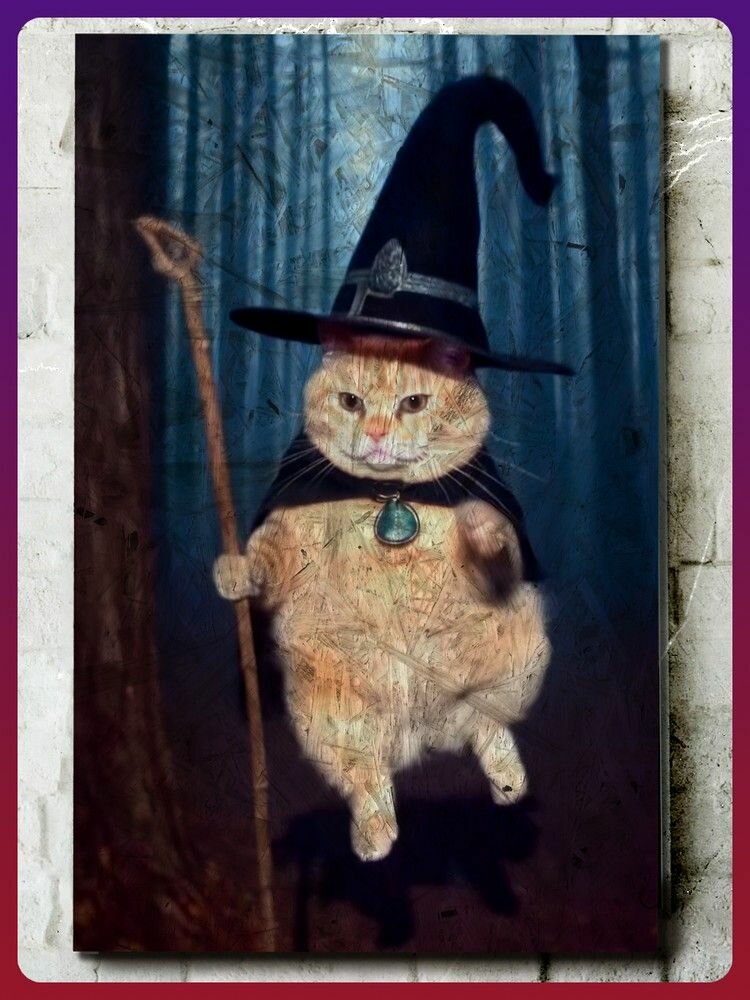 Картина интерьерная на рельефной доске Разное Мем (Котик, кот, волшебник, маг, шляпа, милота) - 62412218