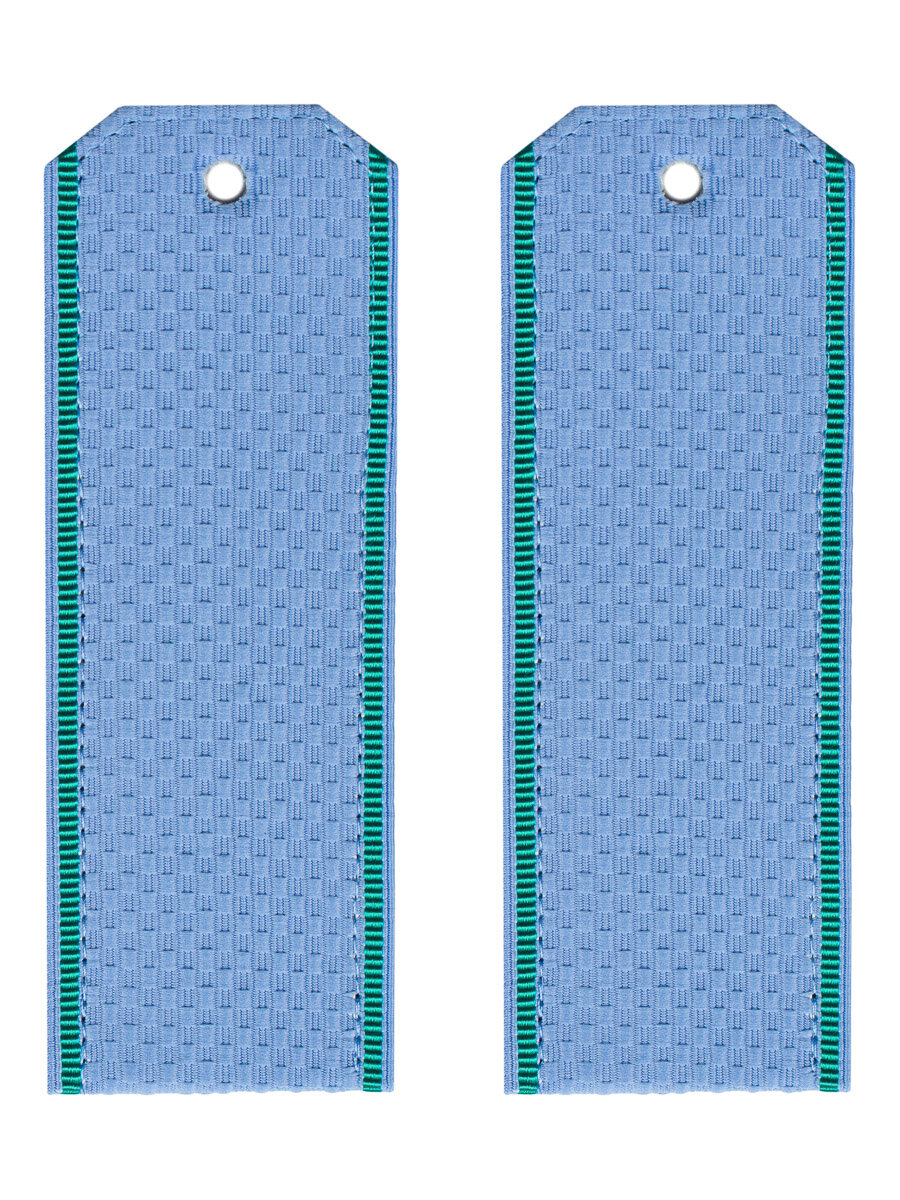 Погоны Пс Фсб голубые картон звание Прапорщик