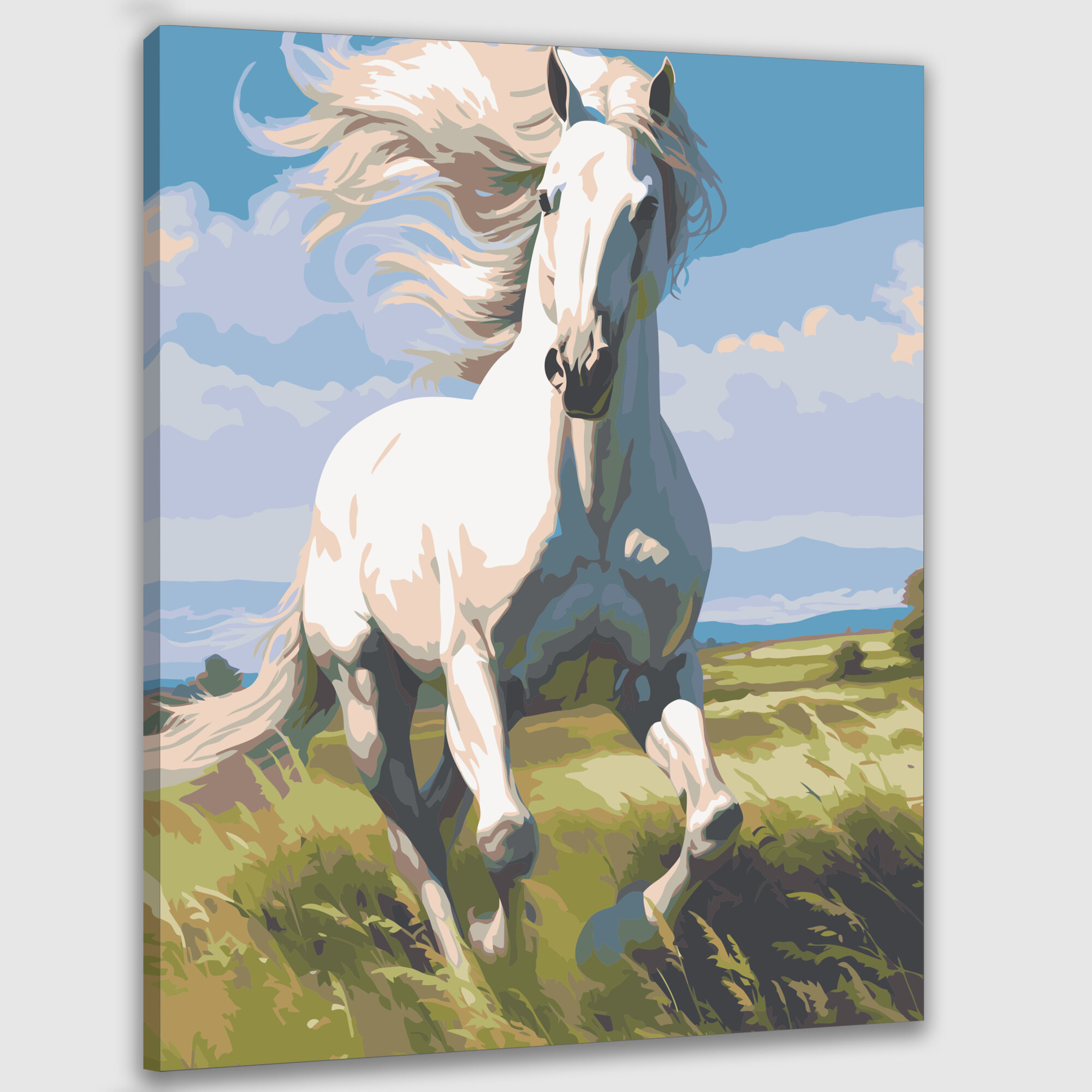 Картина по номерам 40x50 см, лошадь, белая, галопом, луг, грива, хвост, развевается, ветер, грация, мощь
