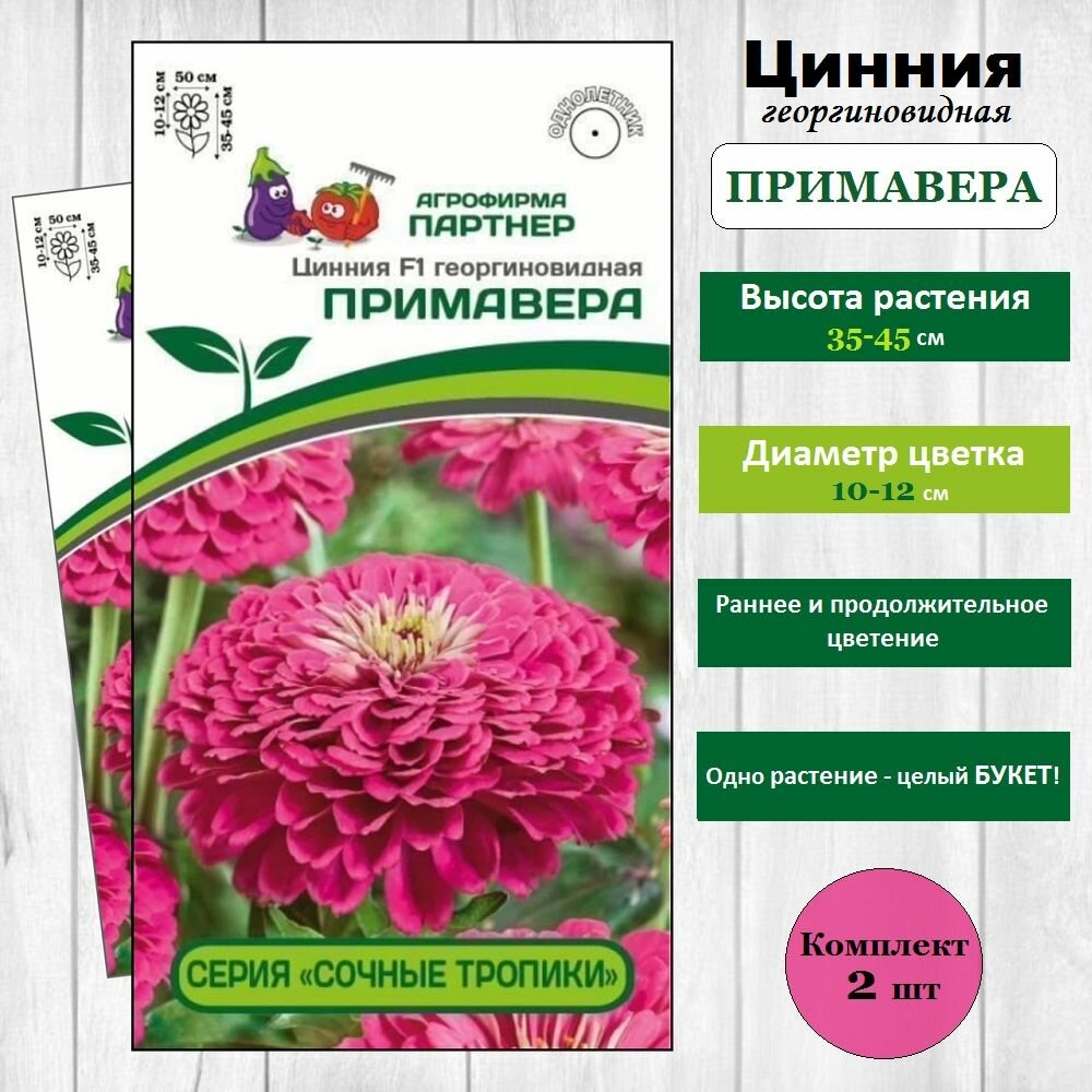 Семена цинния Примавера / однолетние цветы / фирма Партнер, комплект 2 шт