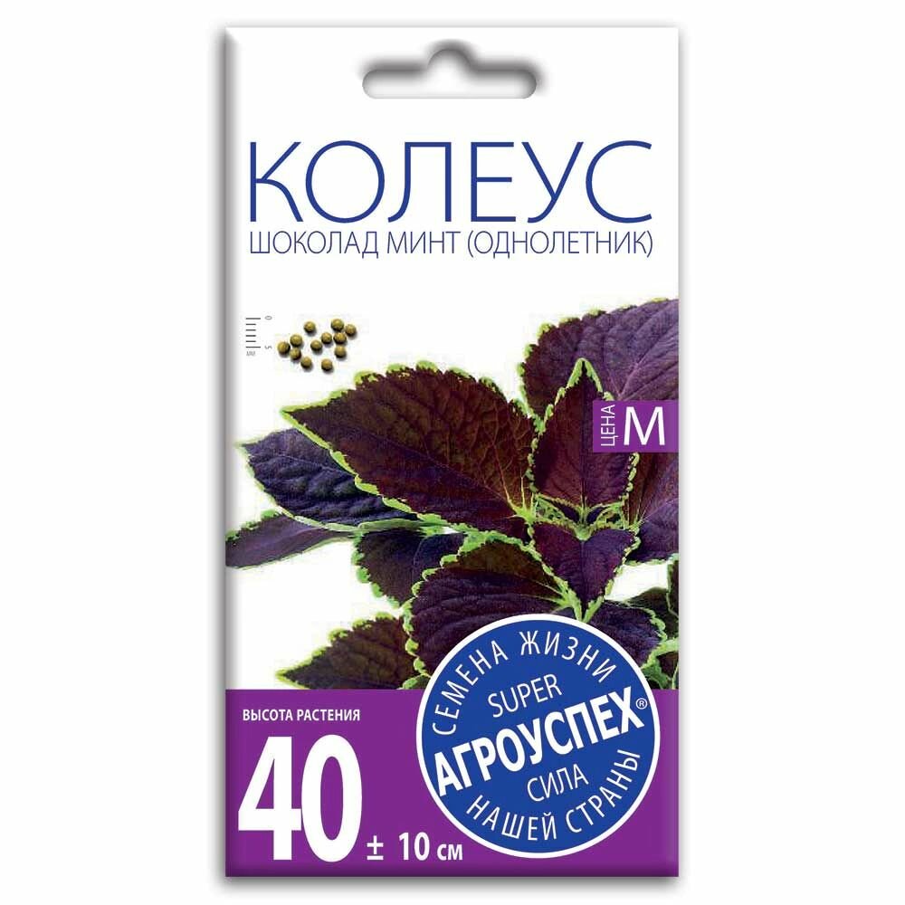 Колеус Шоколад Минт 5 шт