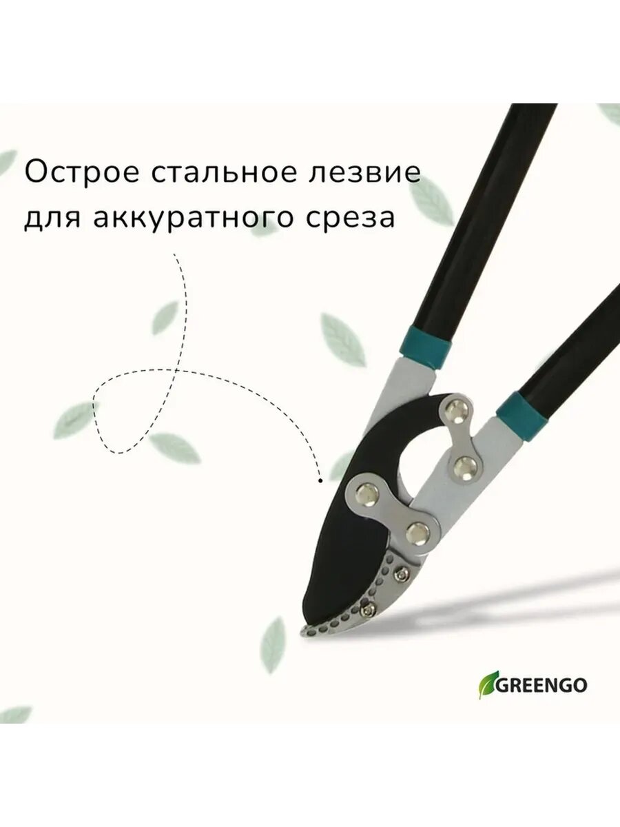 Сучкорез 31 для высоких деревьев
