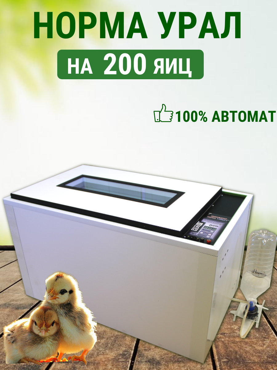 Инкубатор Норма Урал на 200 яиц, 220/12В, 100% автомат, универсальный