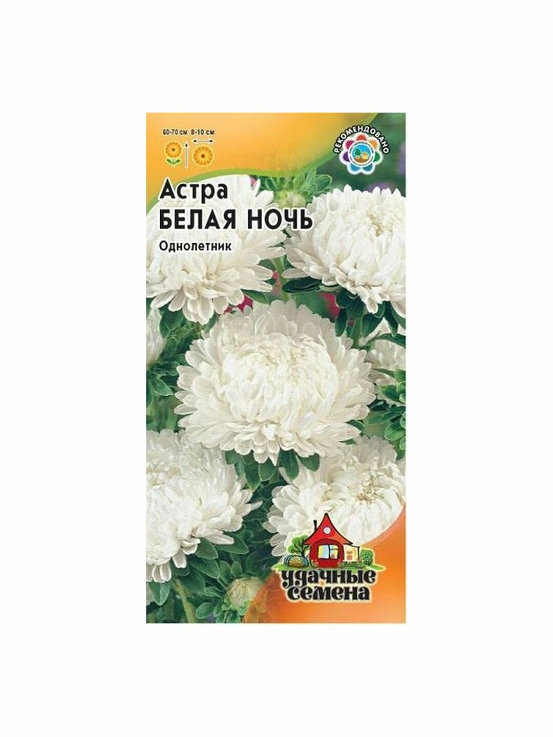 Семена Астра Белая ночь, однолетник, Удачные семена, 1 пачка - 0.3г семян