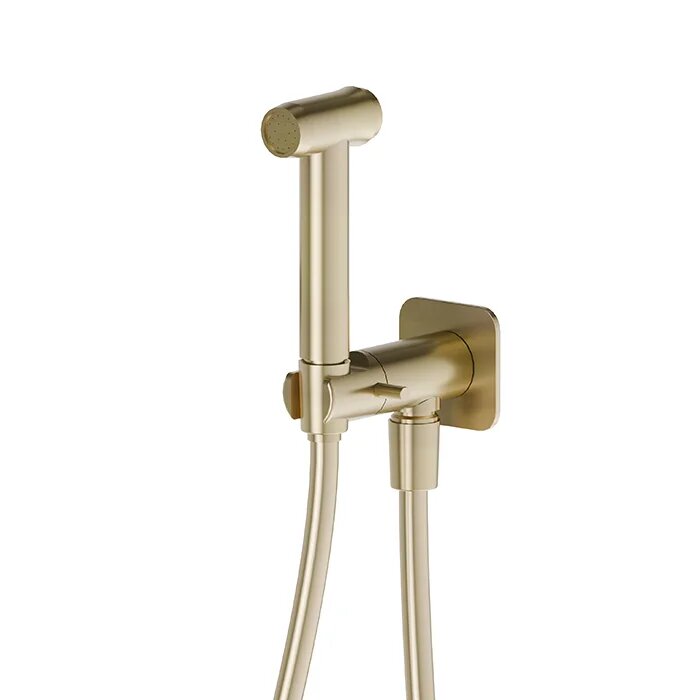 Гигиенический душ Newform X-Steel 316 69644X.59.098 золотой, глянцевый, из нержавеющей стали, с вентилем