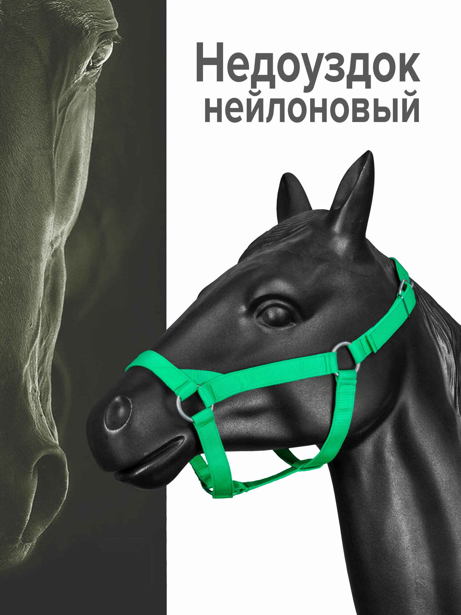 Недоуздок REITER, для лошадей, нейлон, зеленый, регулируемый