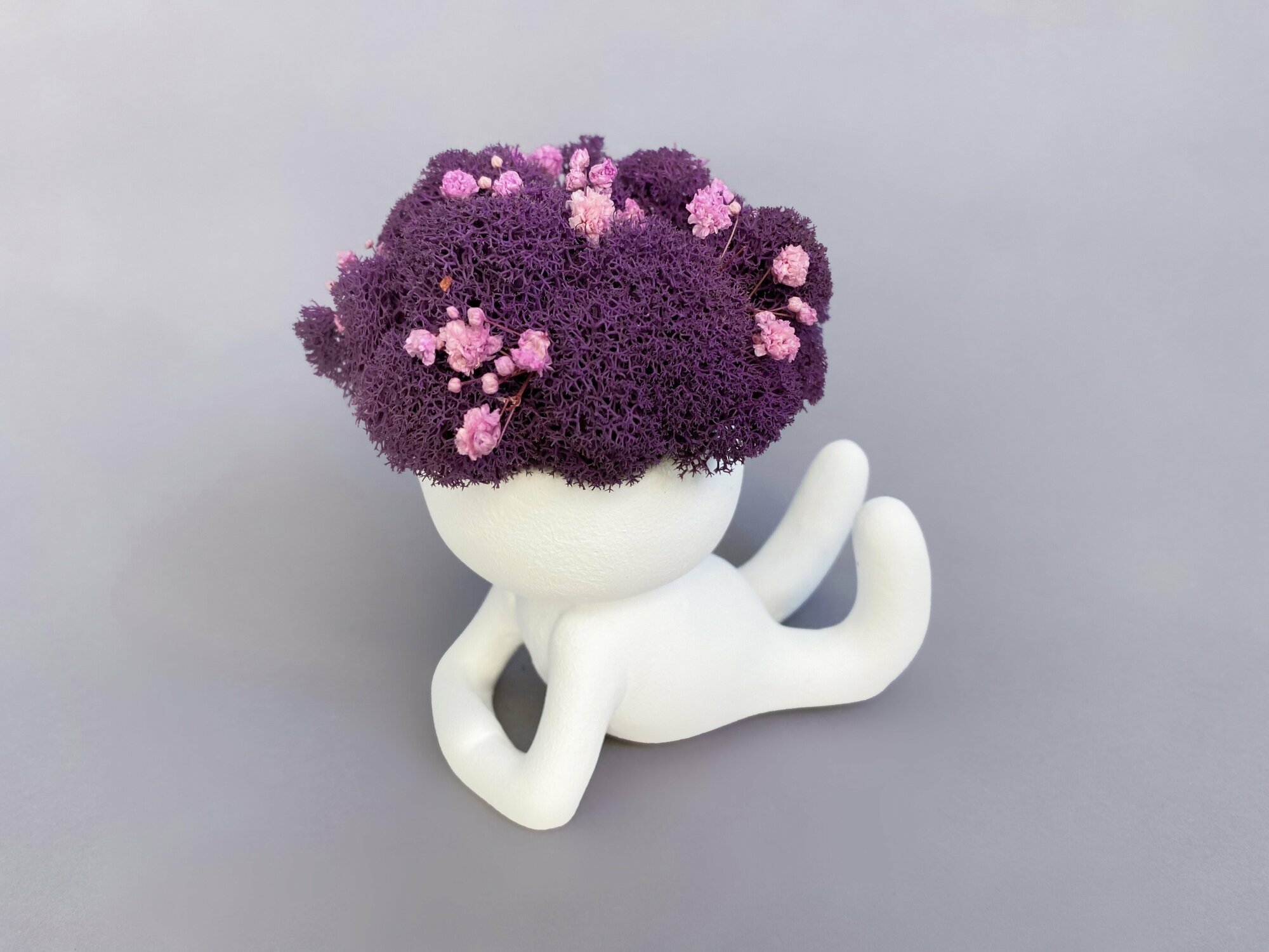 Мох стабилизированный в кашпо человечек, для декора дома. стабилизированная гипсофила