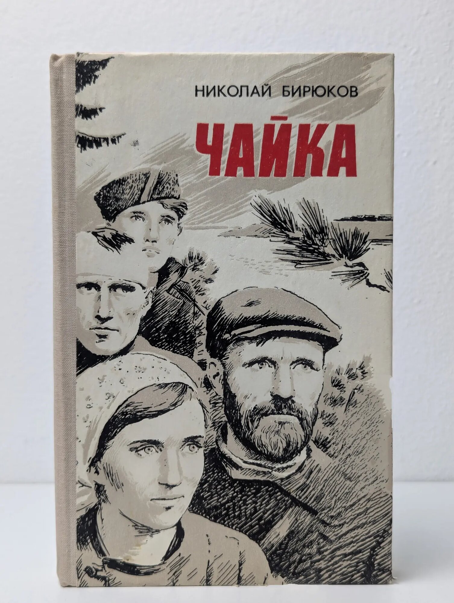 Чайка Бирюков Николай Зотович 1987