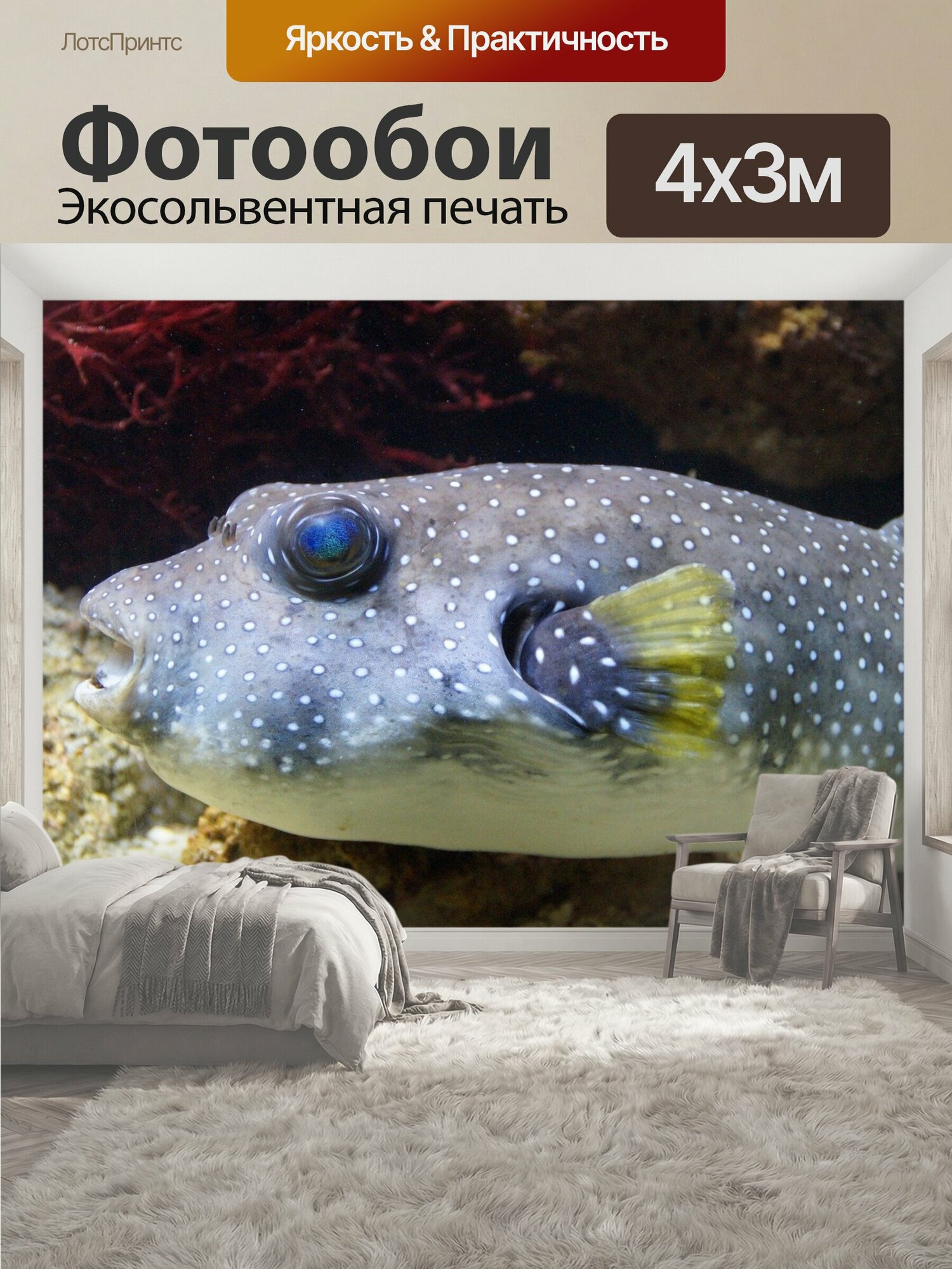 Фотообои "Рыба фугу, boxfish, рыбы" 400x300 см. экосольвентная печать