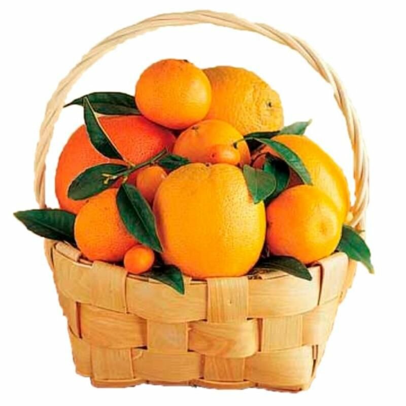 Фруктовая корзина цитрусовая 2,3кг 1шт.