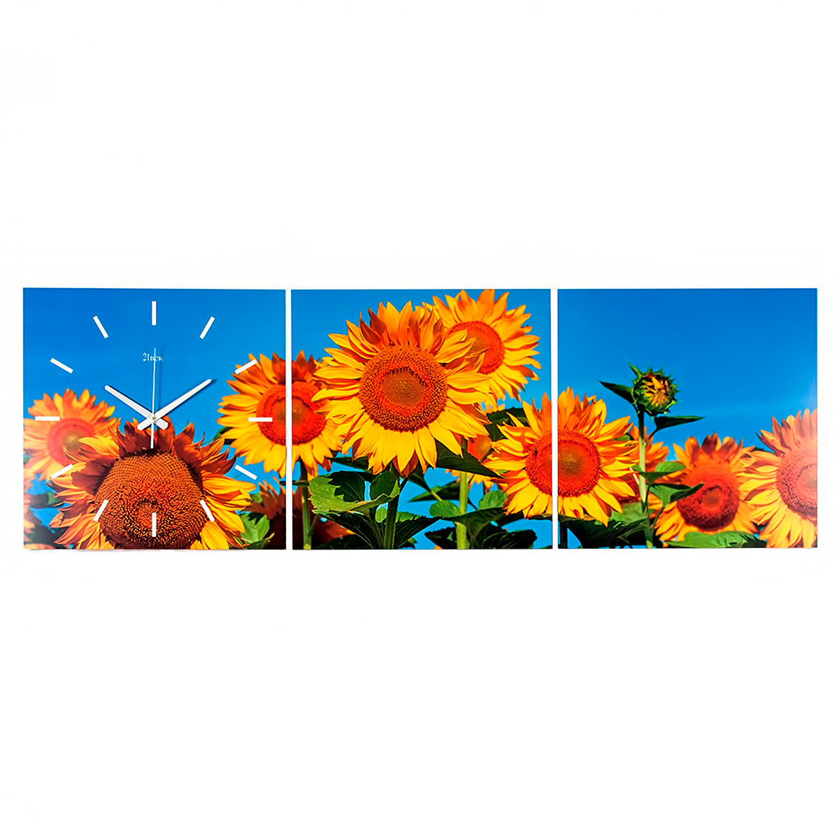 Часы настенные "Рубин" 5050 CH R 22 (50x50)