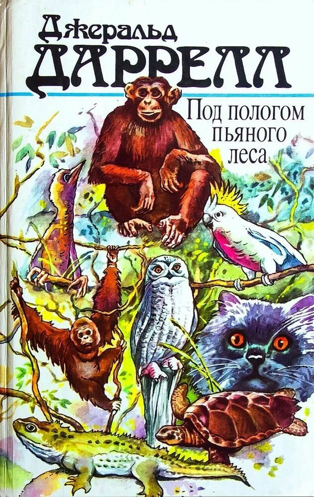 Под пологом пьяного леса