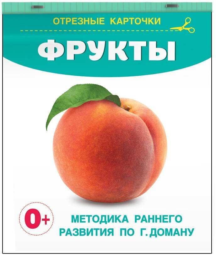 Фрукты. Отрезные карточки — фото 1