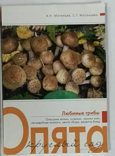 Опята круглый год.