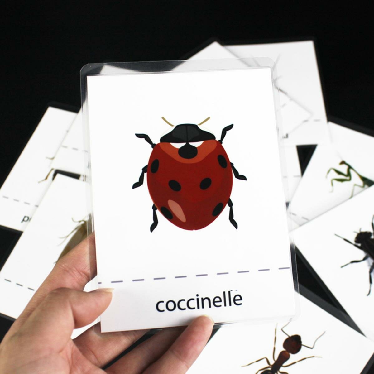 Обучение детей французскому языку Насекомые Животные Слова Монтессори Карточки Раннее образование Дети Карманные карточк