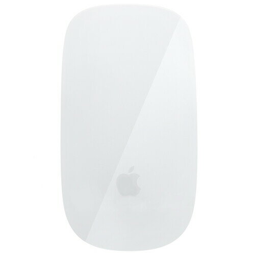 Беспроводная мышь Apple MagicMouseWhite_1