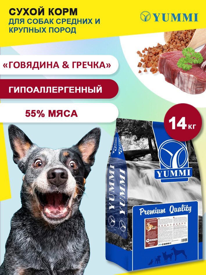 Сухой корм для собак премиум класса YUMMI (Юмми) Premium Говядина&гречка 14 кг