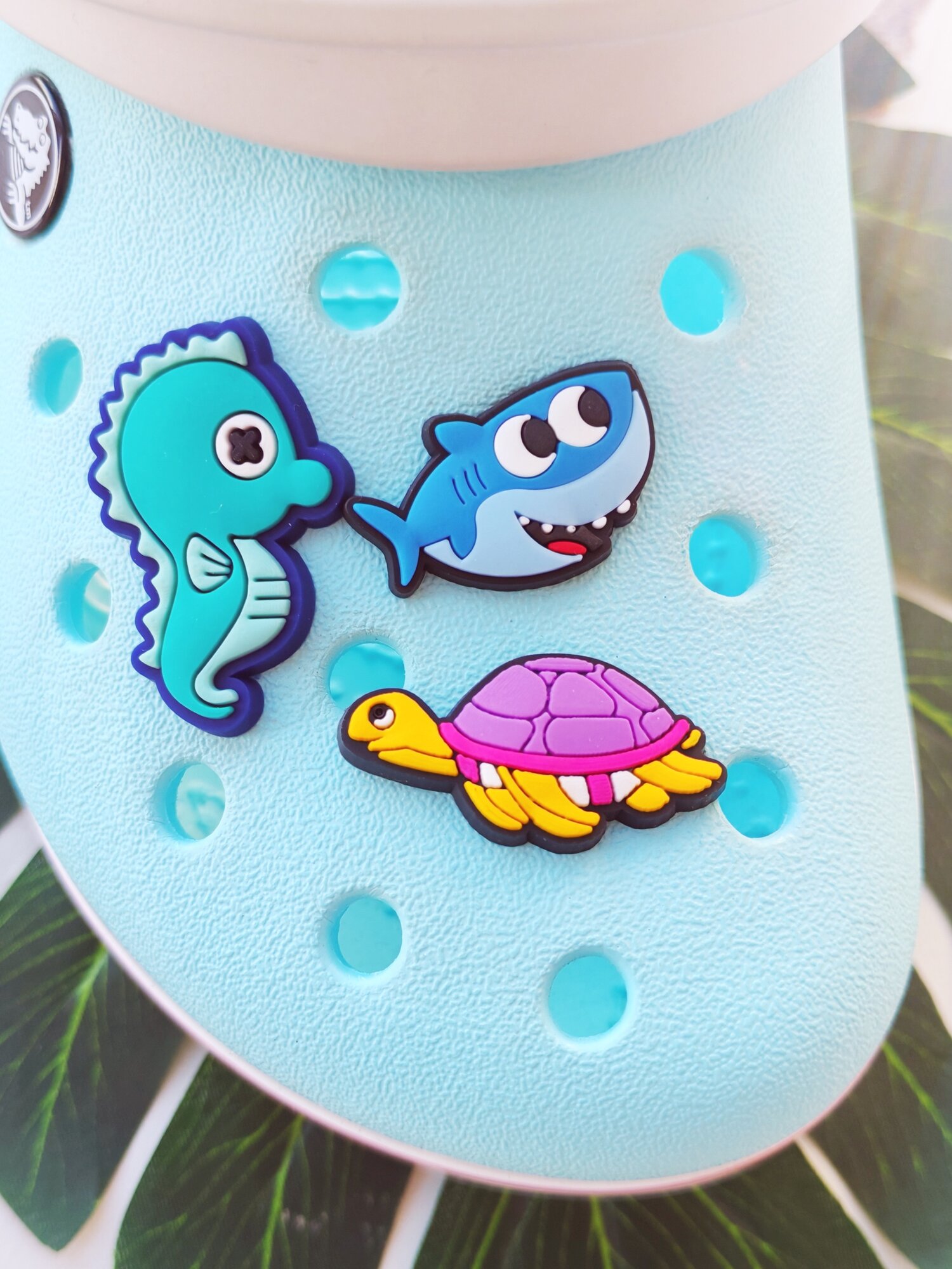 Джибитсы морские рыбки, черепаха