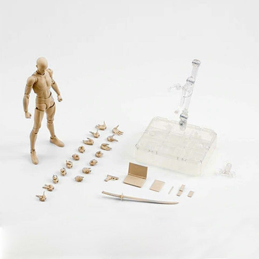 Фигурки из ПВХ Модель для рисования с коробкой Наборы для рисования Фигурки Модели женские и мужские