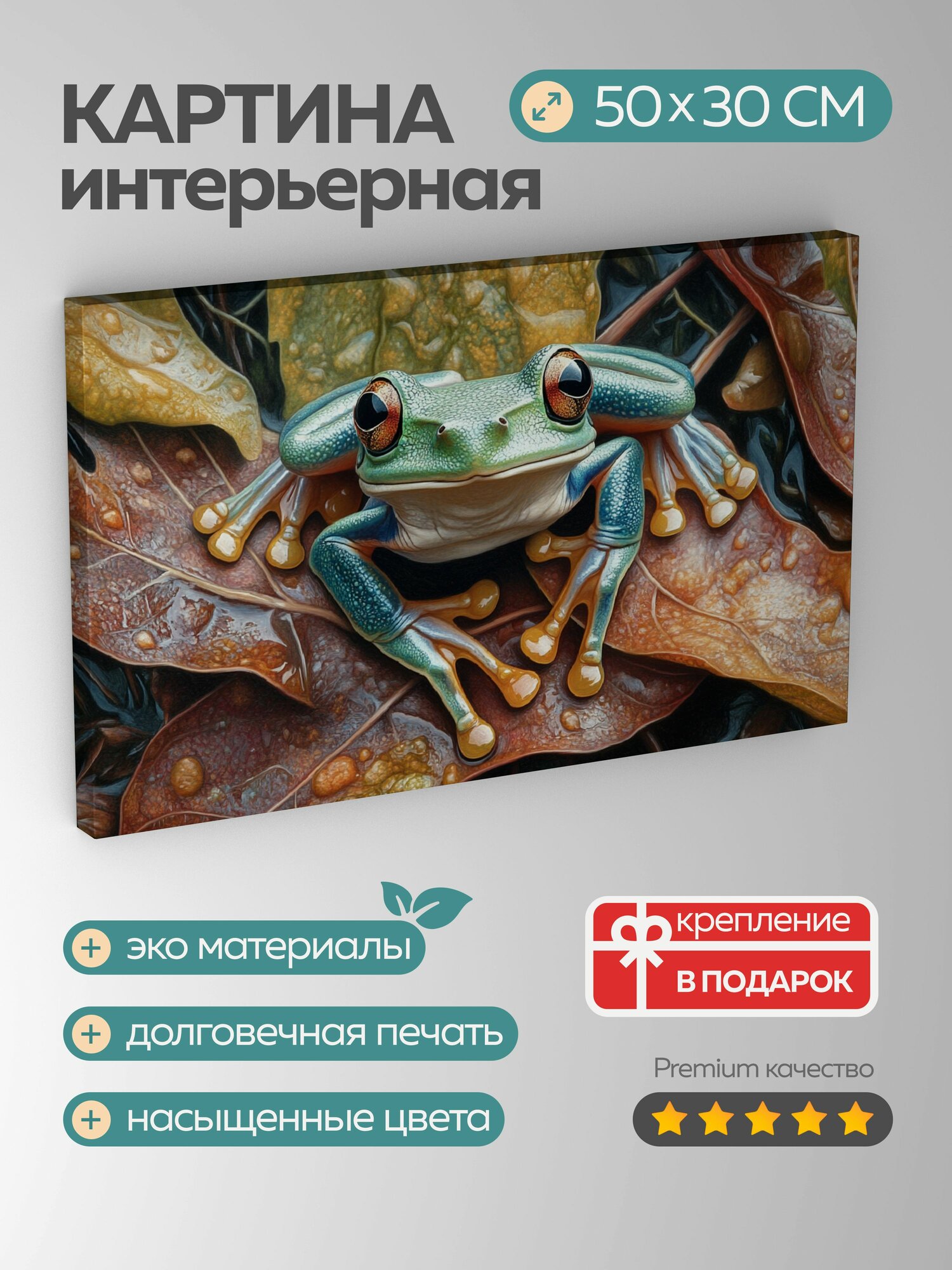 Картина на холсте интерьерная 50х30 см, лягушка, древесный лист, разрешение, текстуры, цвета, масштаб, детали, обитание
