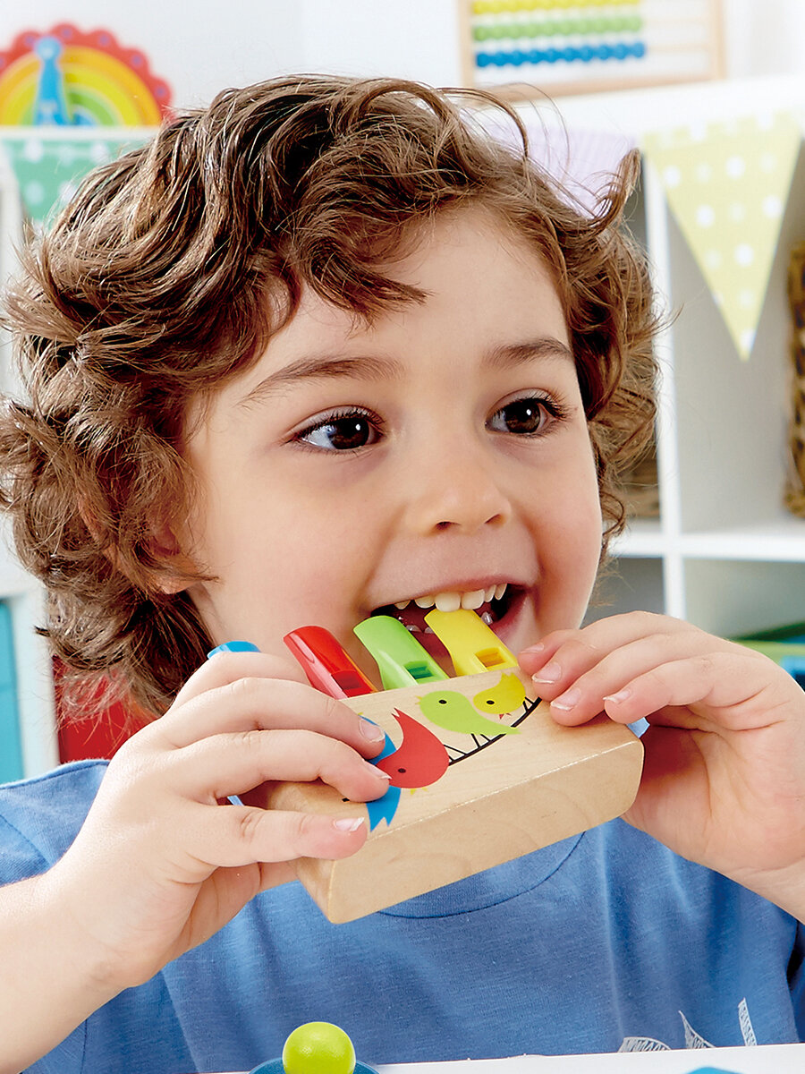 Серия: "Волшебный звук". Детская музыкальная игрушка "Разноцветная флейта Пана" Hape E1025_HP