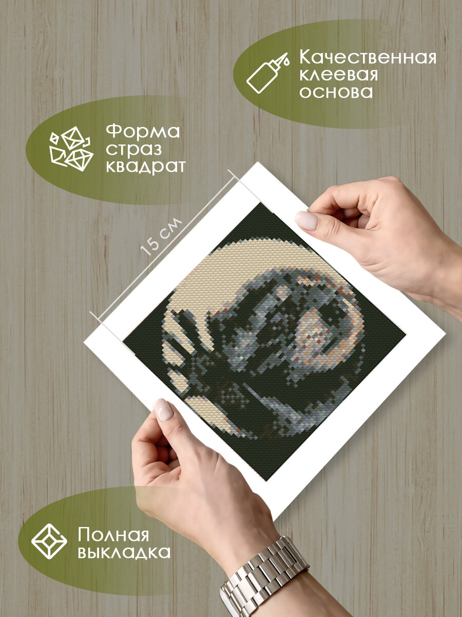 Алмазная мозаика Мемный енот Педро