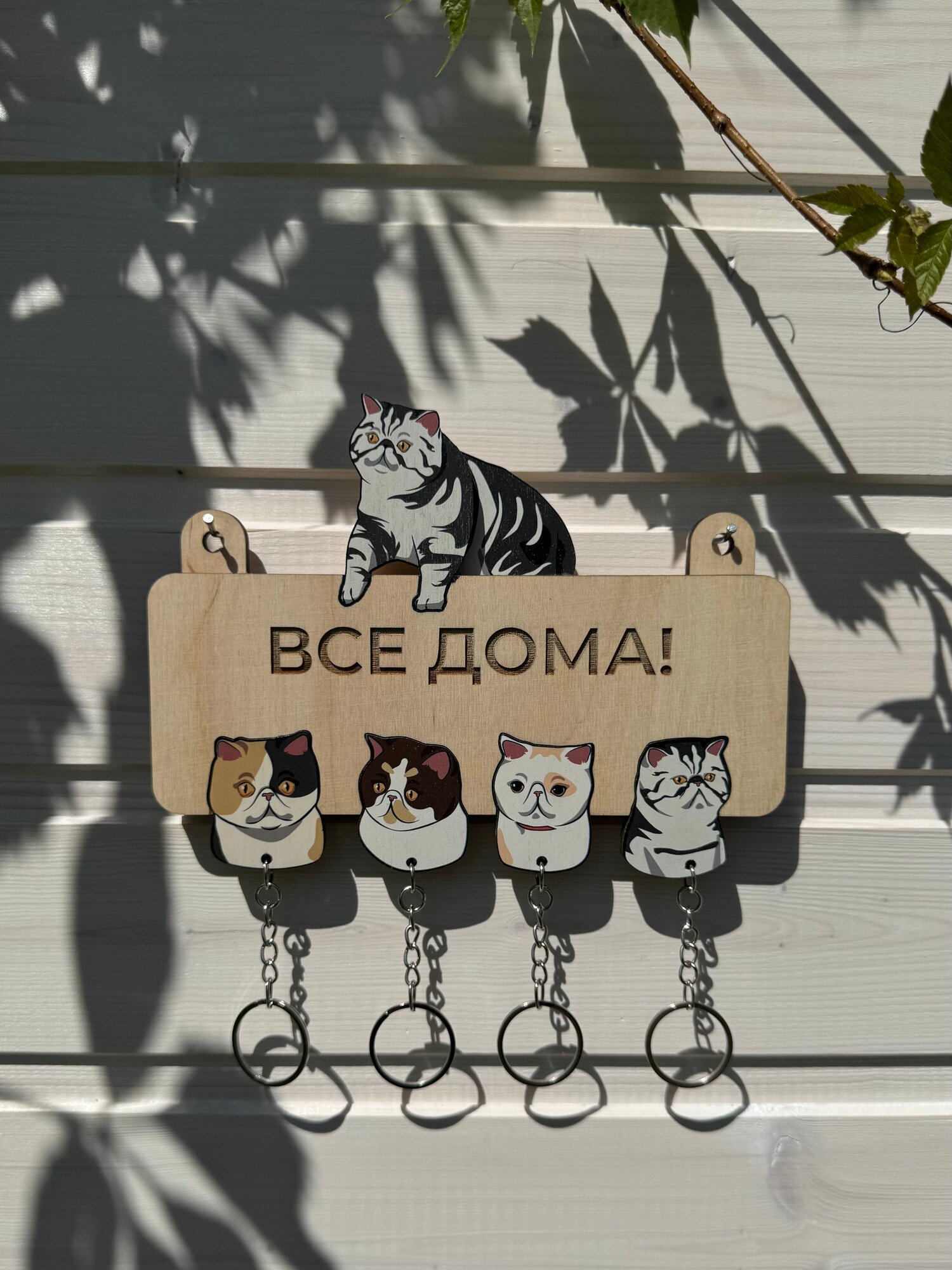 Ключница Экзоты кошки