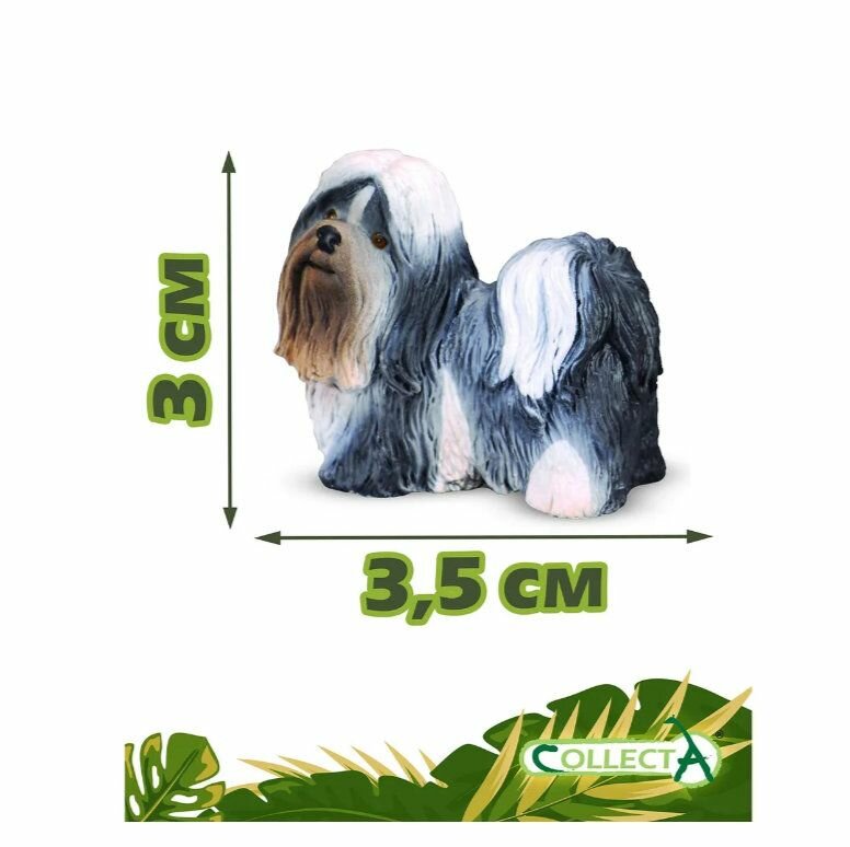 Собака Ши-тцу, M, 88195b