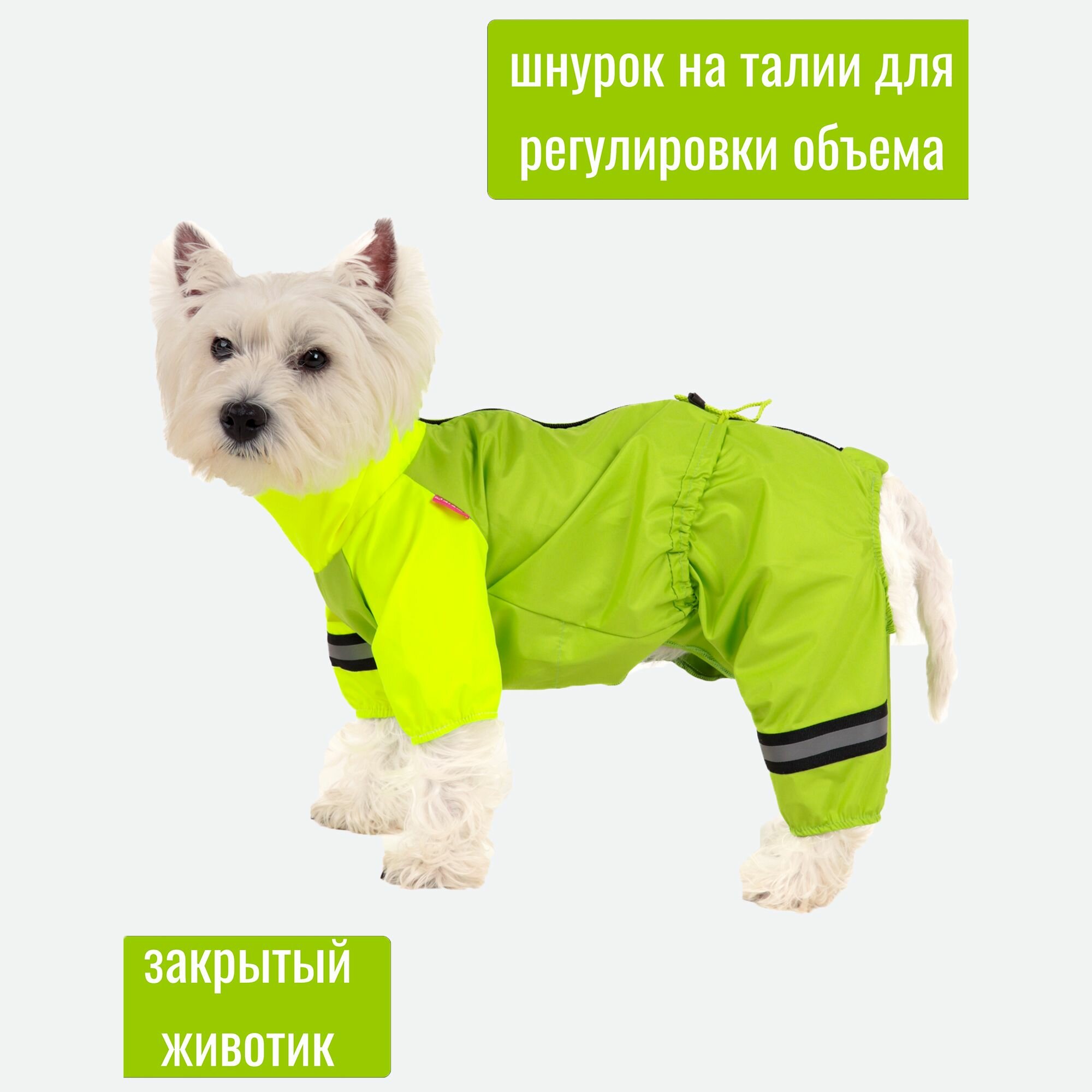 Одежда для животных — фото 1