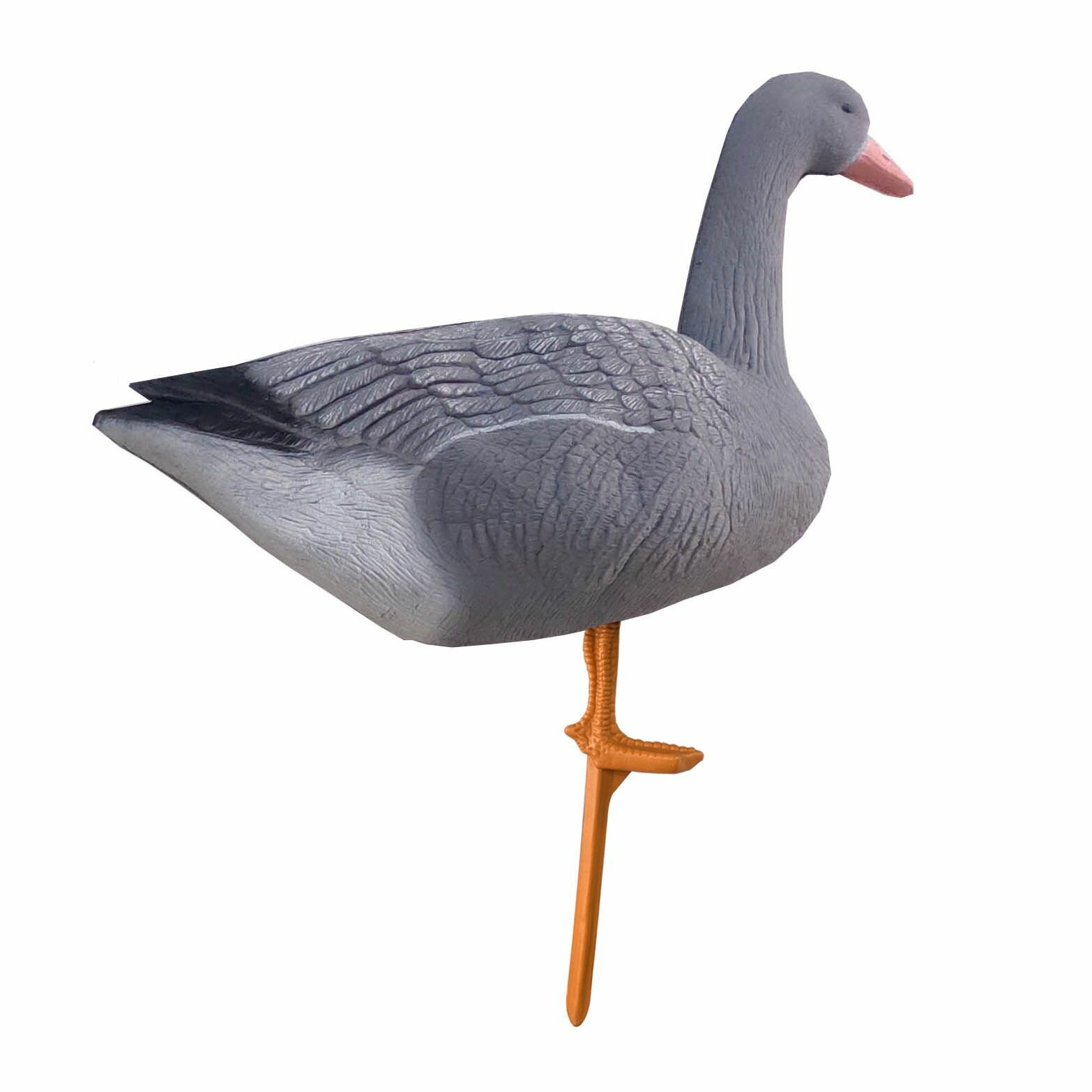 Чучела Гусей Белолобый Xpe 5 Шт Серый