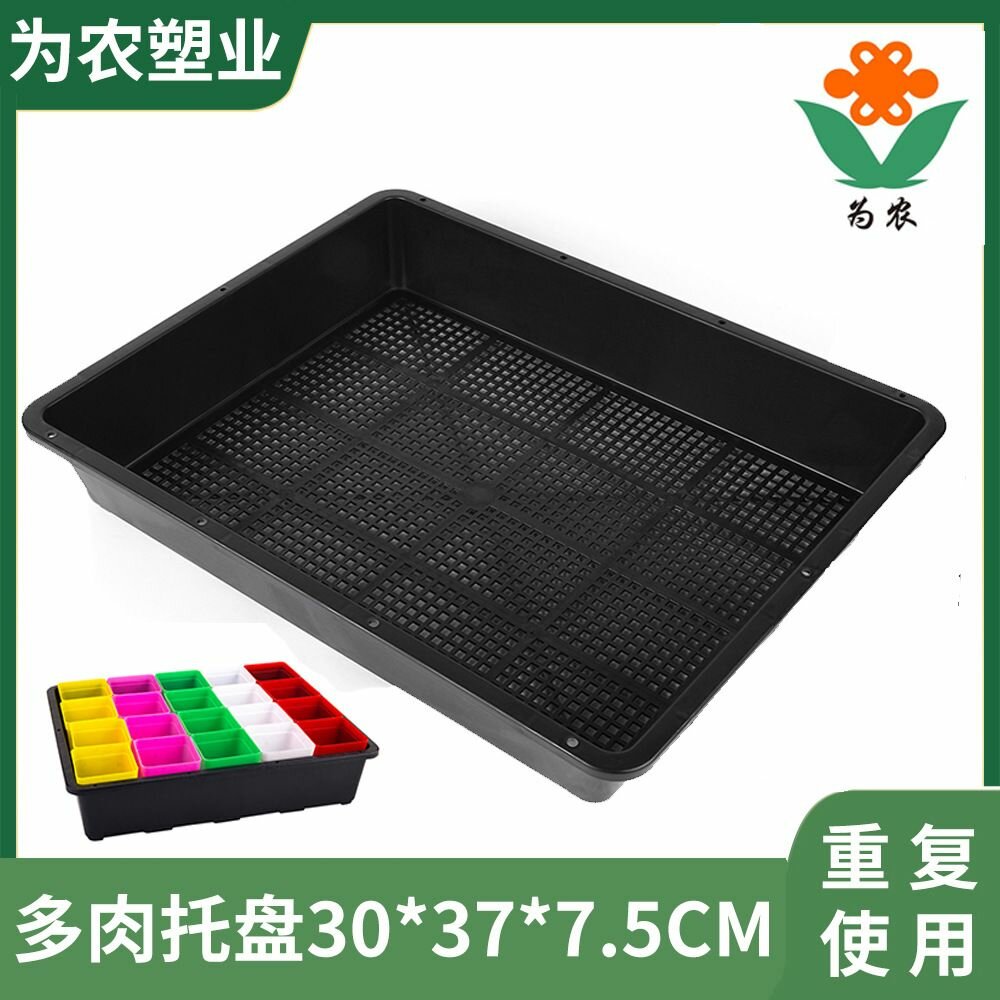 10 шт. Мини-тазик, квадратный цветочный горшок, поддоны для суккулентных растений, домашний офис, декор своими руками