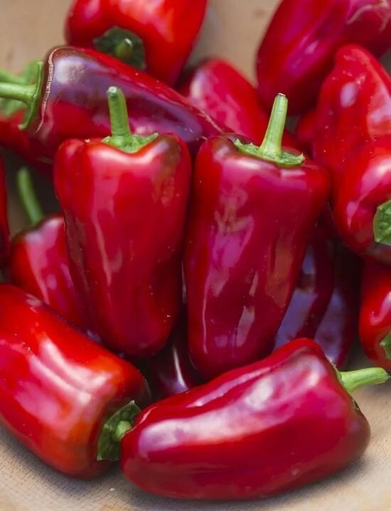 Коллекционные семена перца сладкого Малахит