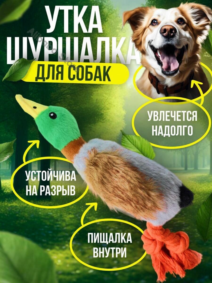 Игрушка для собак мелких, средних и крупных пород - "Утка" плюшевая шуршащая с пищалкой, с канатами