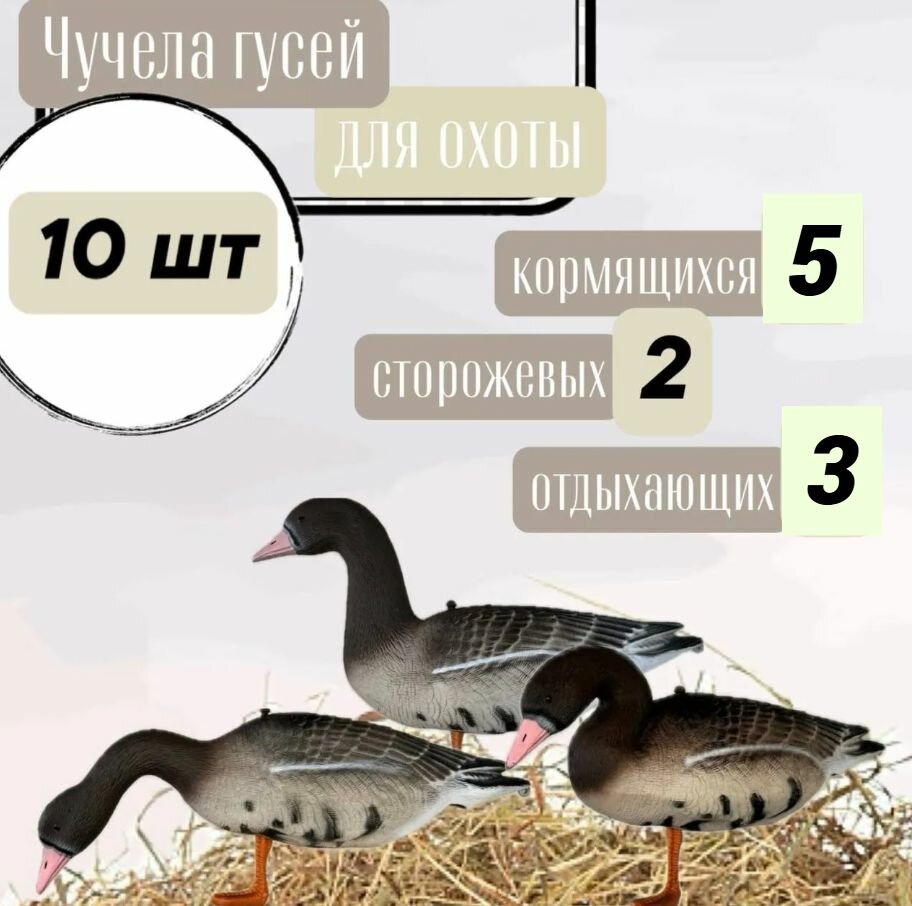 Чучела Гусей Гуменник-Белолобые 10 шт, чучела гусей для охоты, на ножке, сминаемые, XPE, Белолобый Гусь, Гуменник