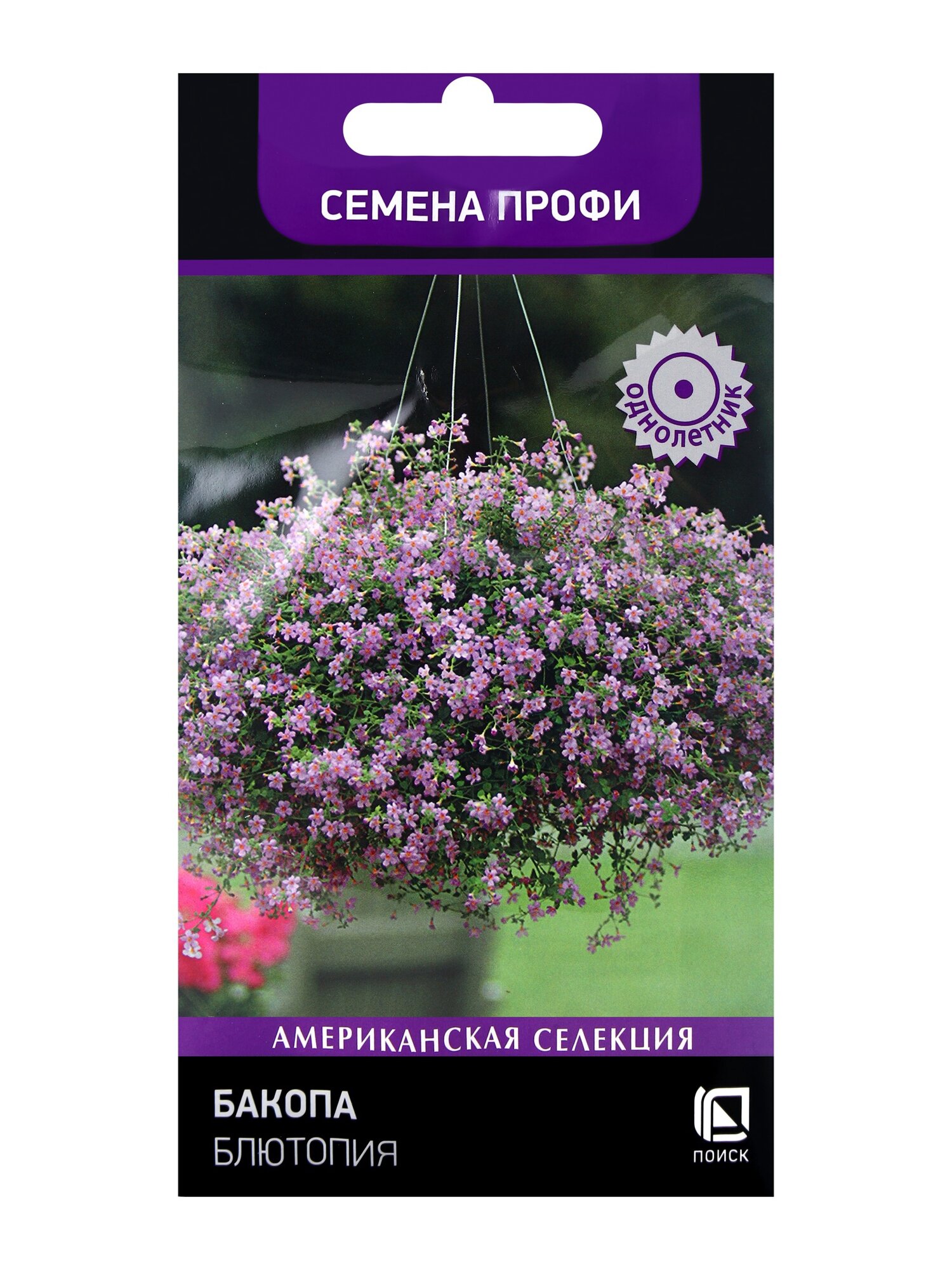 Семена цветов Бакопа Блютопия, 5шт