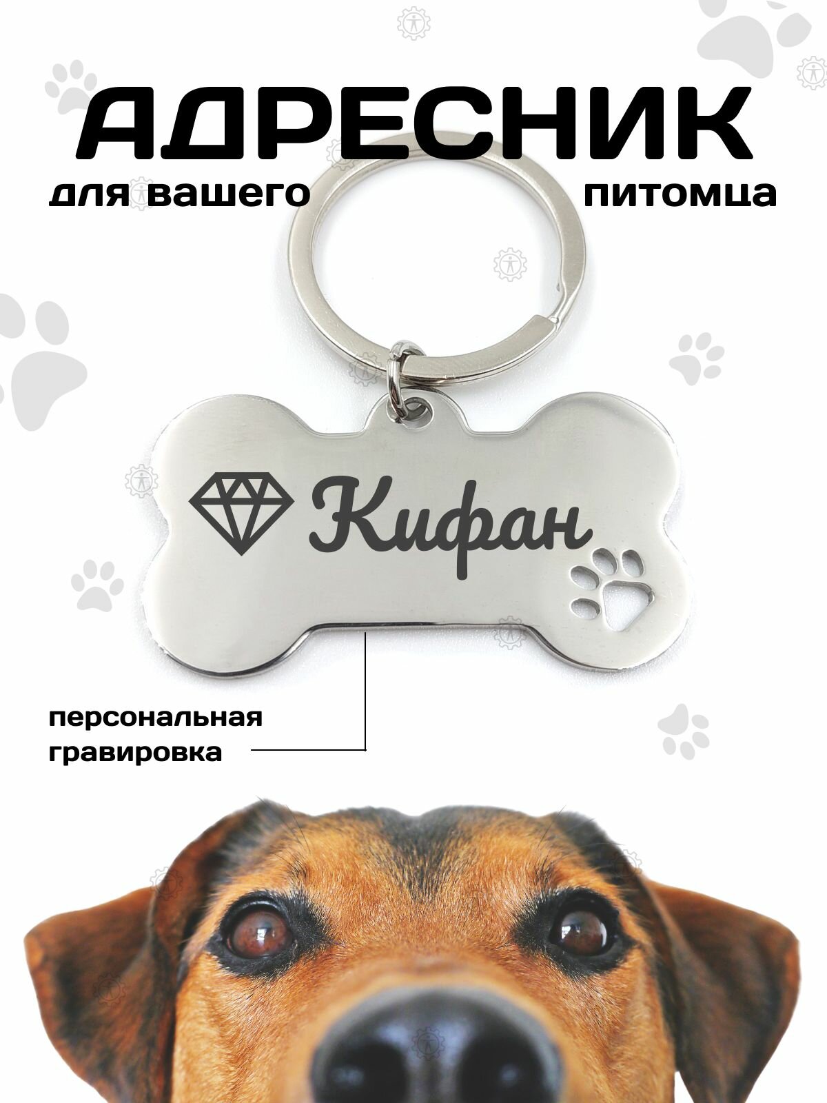 Адресник для собак "косточка с лапкой", на ошейник, серебро, 50 мм x 30 мм
