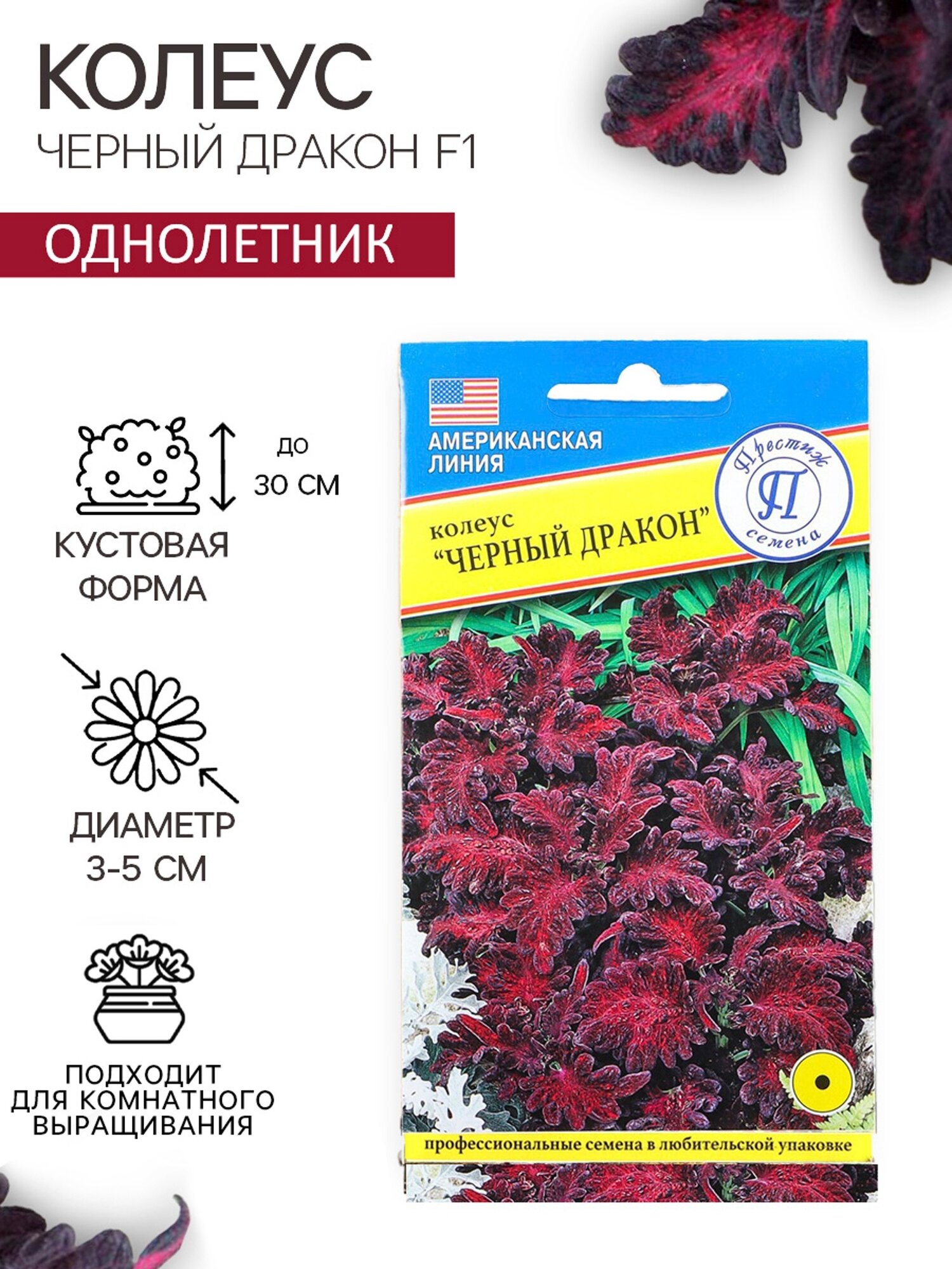 Семена цветов Колеус «Чёрный дракон» F1, 10 шт, однолетник, «Престиж семена»