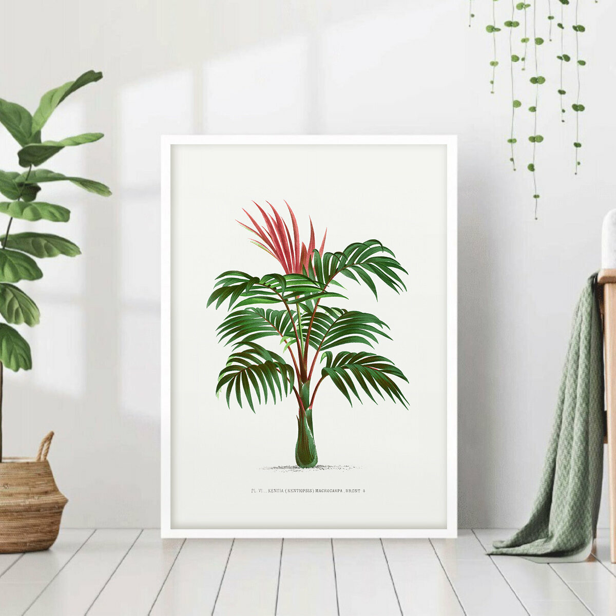 Постер "Пальма рисунок" 40x50 в белой рамке на стену для интерьера