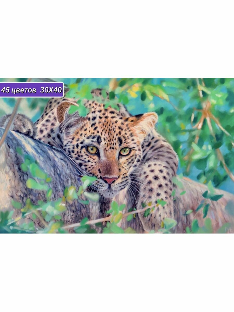 Алмазная мозаика Cristyle Леопард