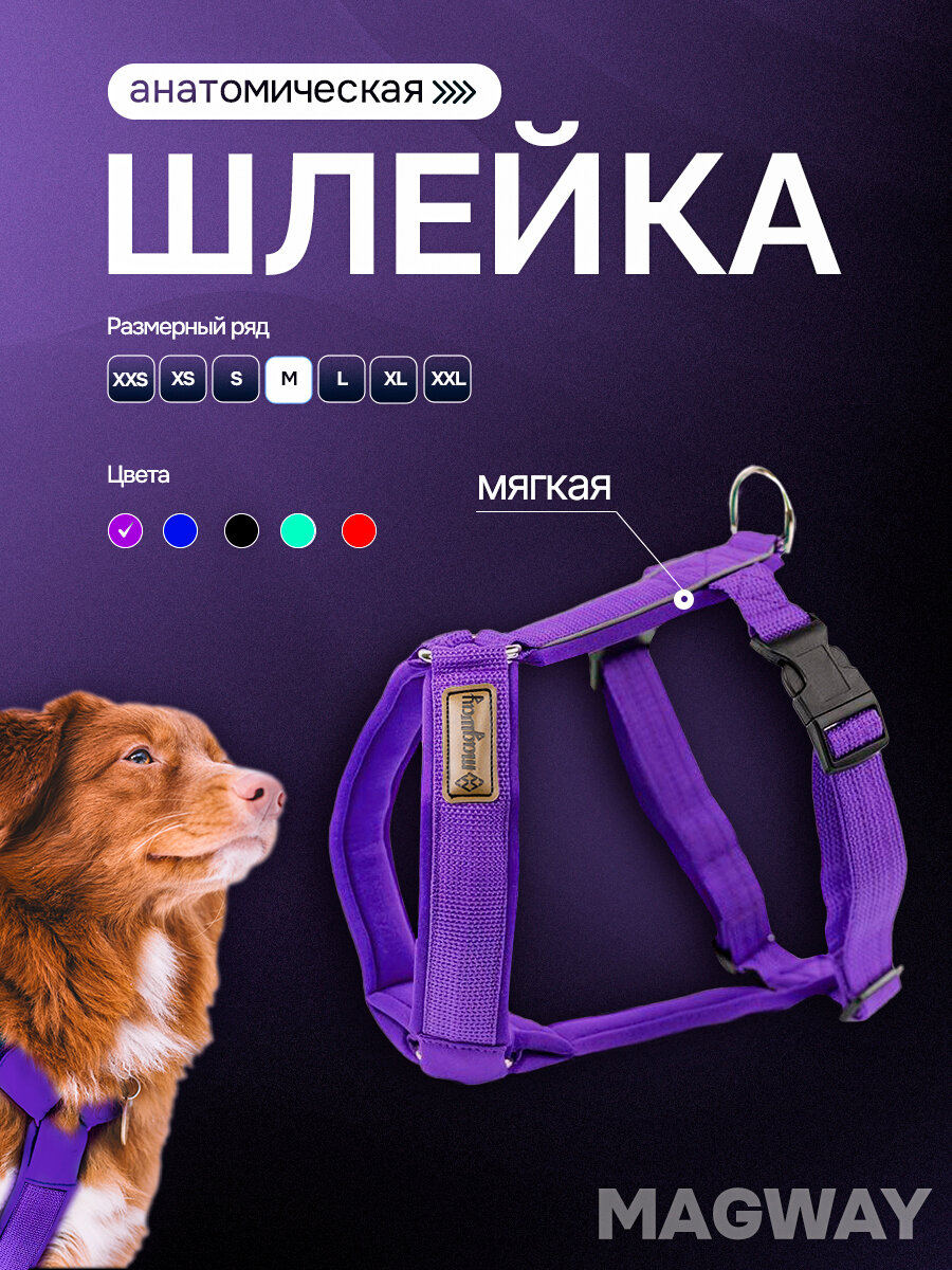 Шлейка прогулочная на мягкой подкладке из неопрена MagWay, фиолетовый, размер M, для мелких, средних и крупных пород, анатомически правильная