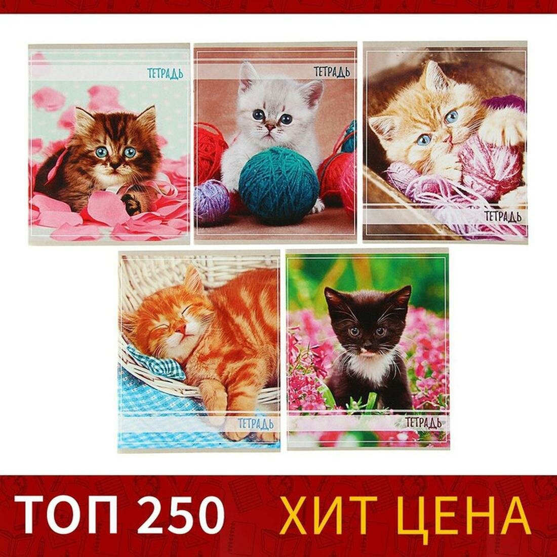 Тетрадь 36 листов в клетку Calligrata «Котята», обложка мелованный картон, микс