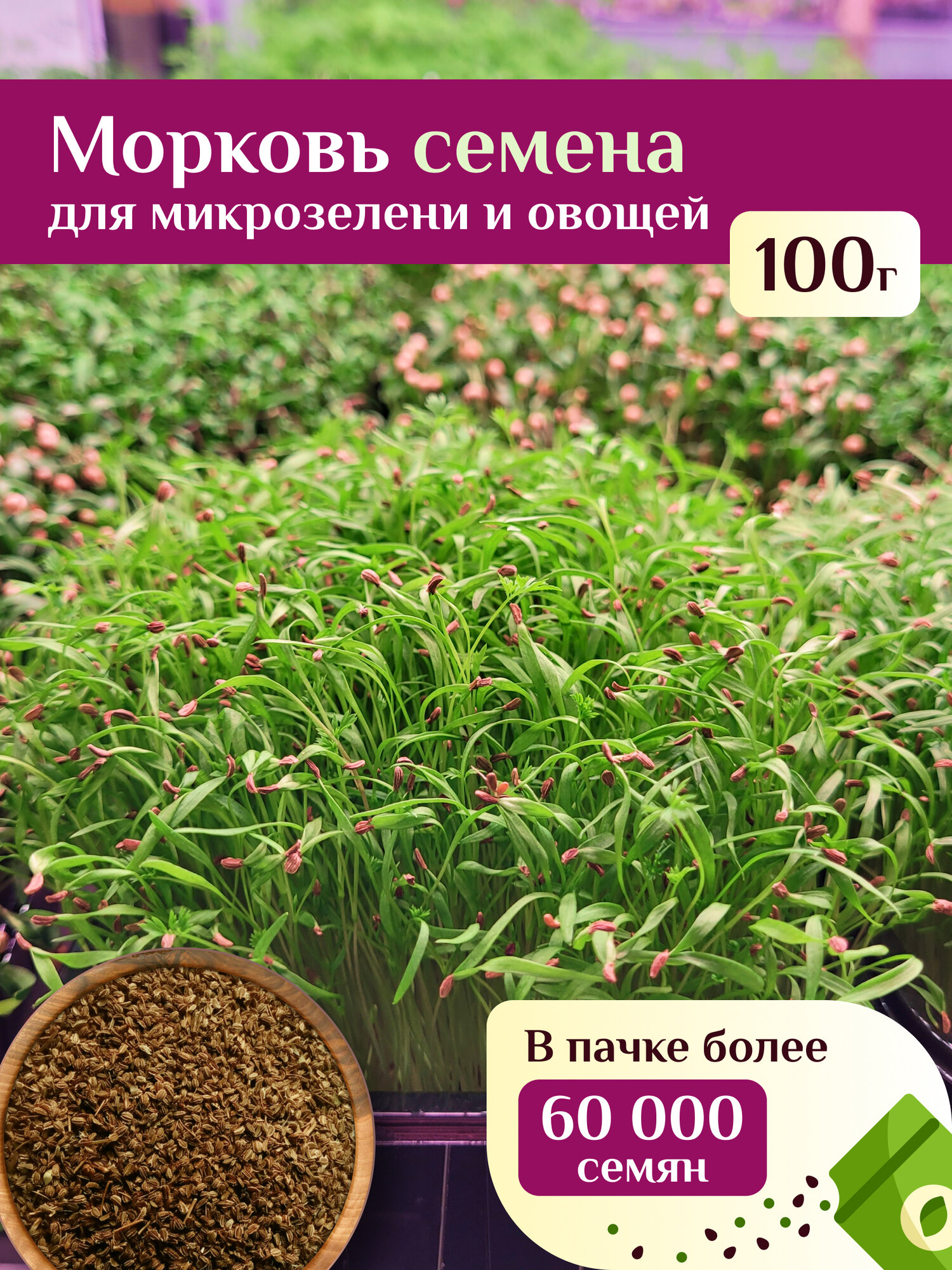 Морковь семена для микрозелени и овощей, Ильинские проростки 100г