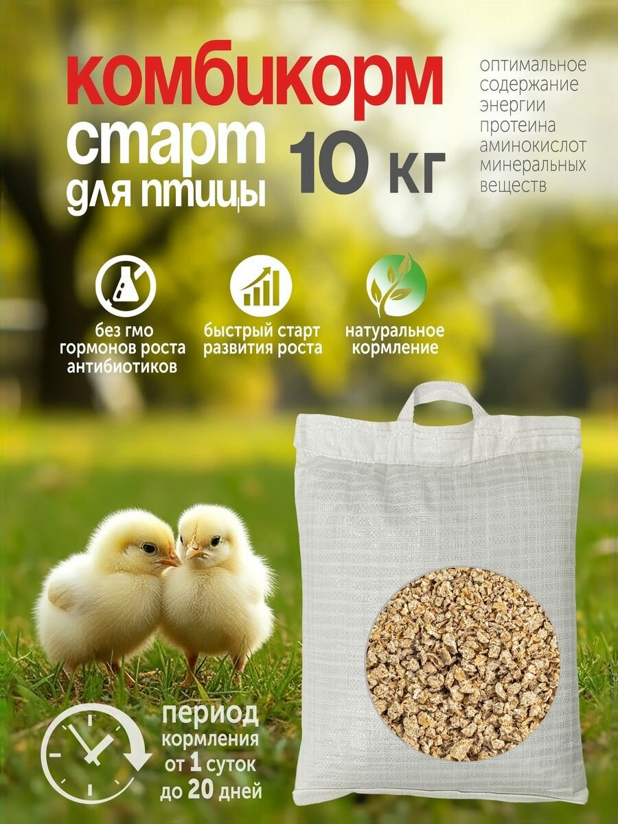 Комбикорм для цыплят "Старт" 10 кг, минеральная смесь для молодняка птицы