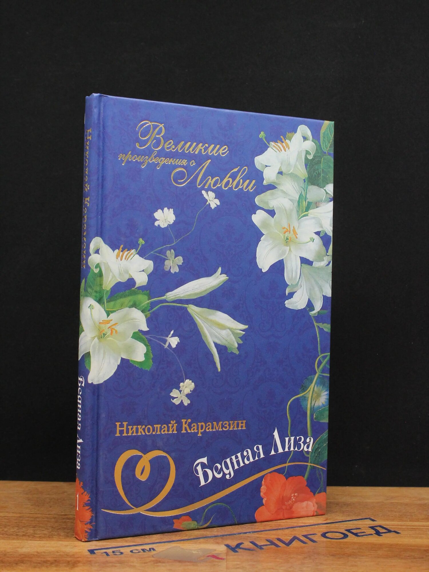 Книга. Бедная Лиза 2015 (2046398598079)