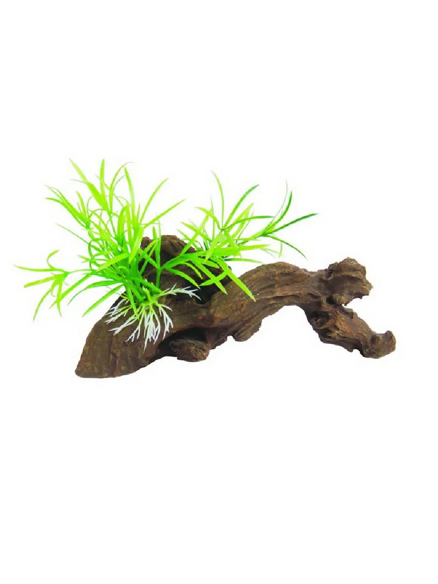 Декорация для террариума Forest Wood Kongo