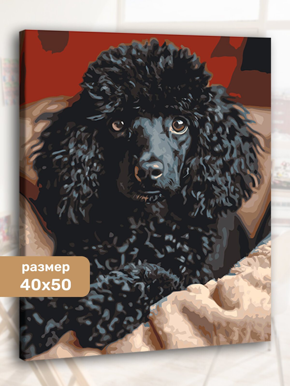 Картина по номерам на холсте и подрамнике "Пудель черный" 40x50см