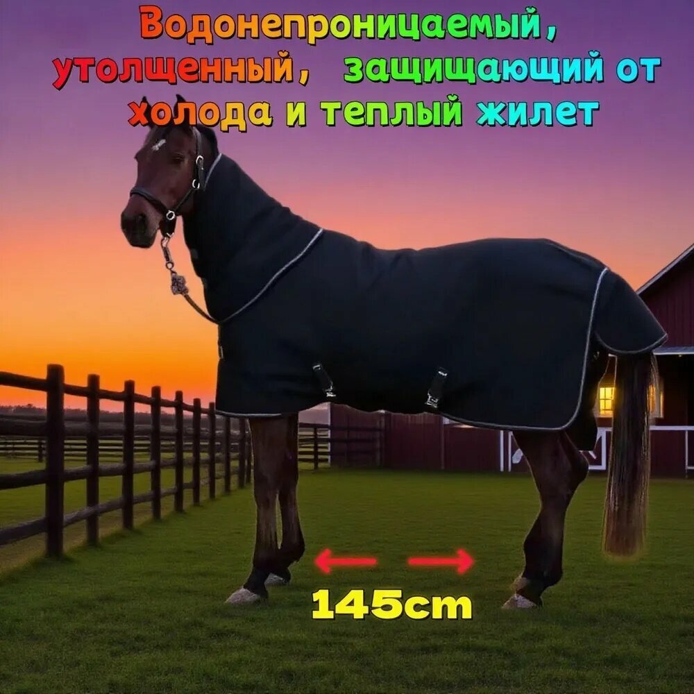 Попона для лошади
