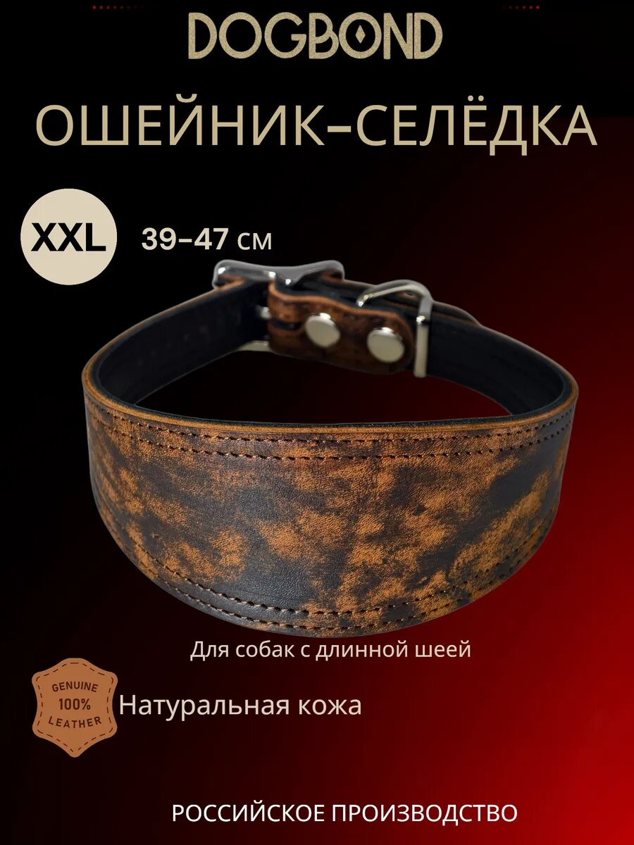 Ошейник-селедка Dogbond для грейхаундов и борзых собак